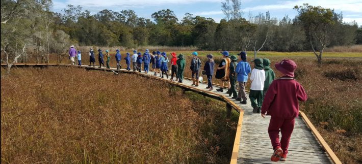 Longneck Lagoon brings learning to life | QT Academy